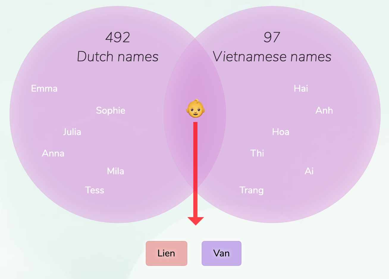 Dutch-Vietnamese names for girls