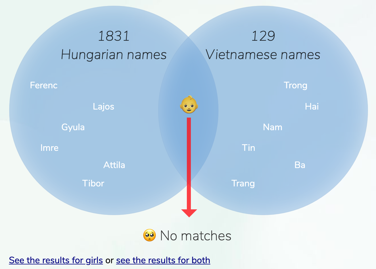 Hungarian-Vietnamese names for boys